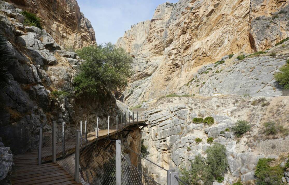 Descubre el pez más feo del mundo y sus características sorprendentes